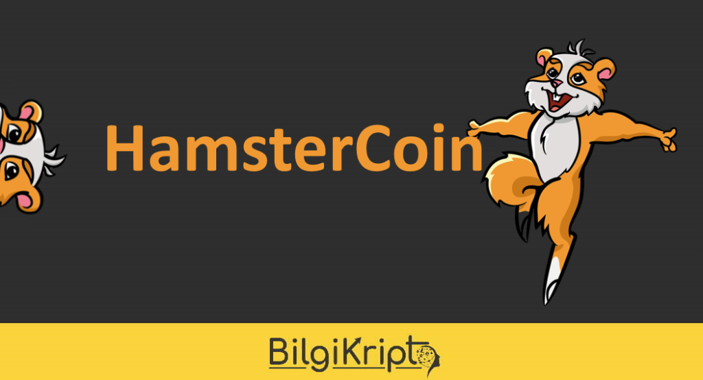 Hamster Coin Nasıl, Nereden Alınır? - Bilgi Kripto